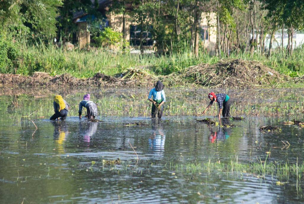 Latest | GroundUp Conservation